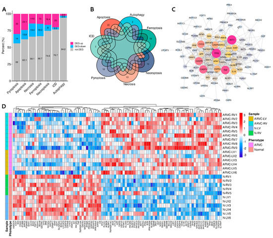 The Landscape of Cell Death Processes with Associated Immunogenic and ...