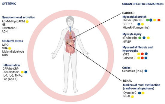 New Biomarkers and Their Potential Role in Heart Failure Treatment ...