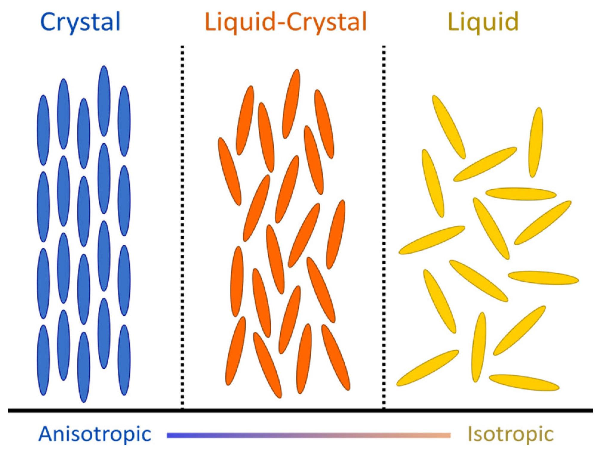 The Nematic Chiral Liquid Crystal Structure of the Cardiac ... The Nematic Chiral Liquid Crystal Structure of the Cardiac ...