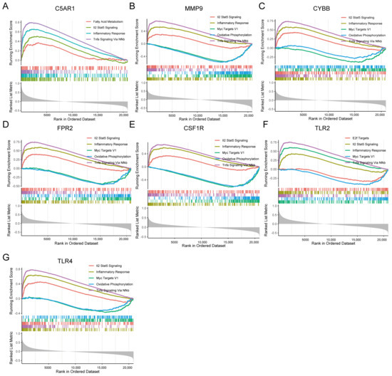 Developing a Novel Immune-Related Seven-Gene Signature and Immune ...