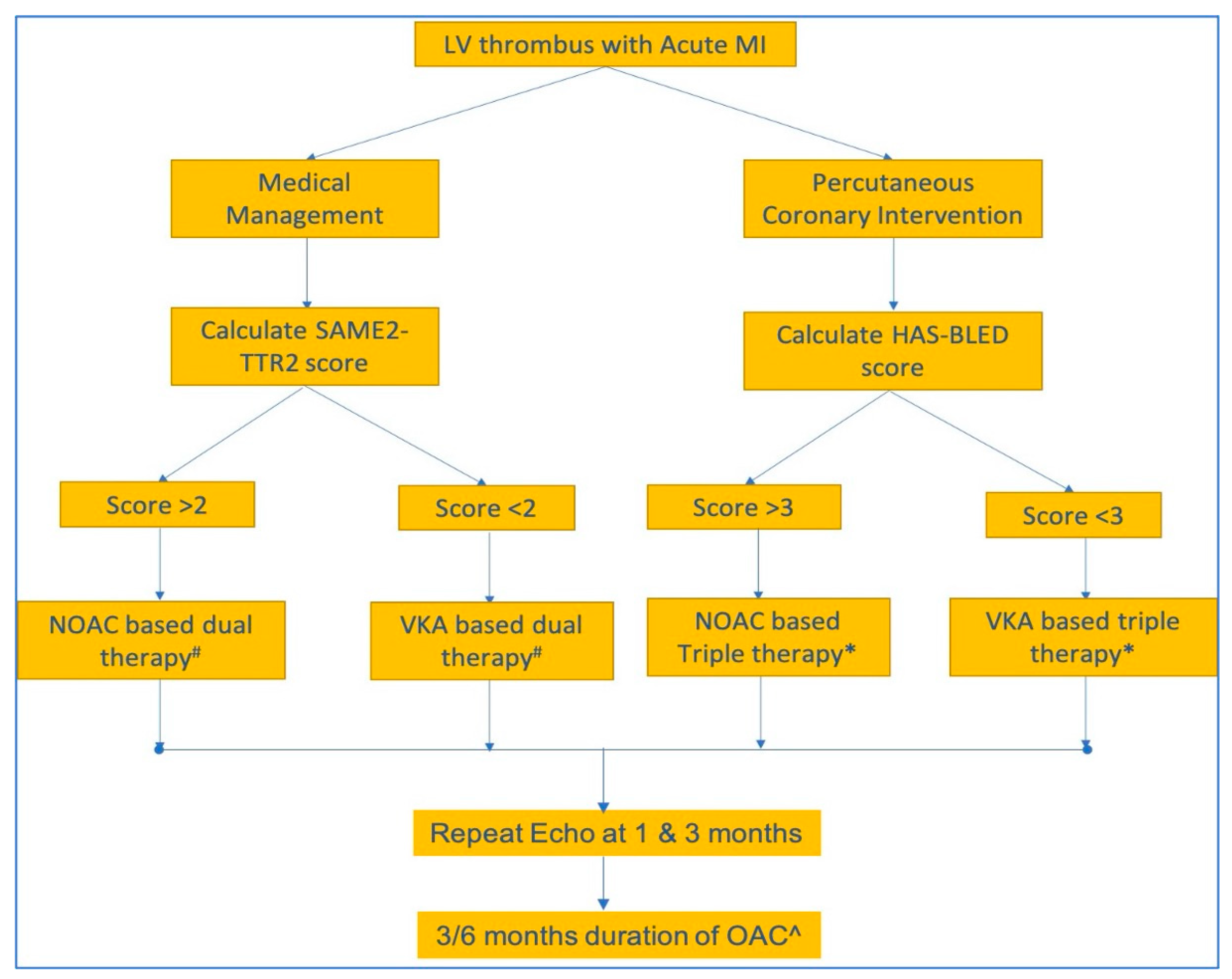 JCDD | Free Full-Text | Anticoagulation for Left Ventricle Thrombus ...