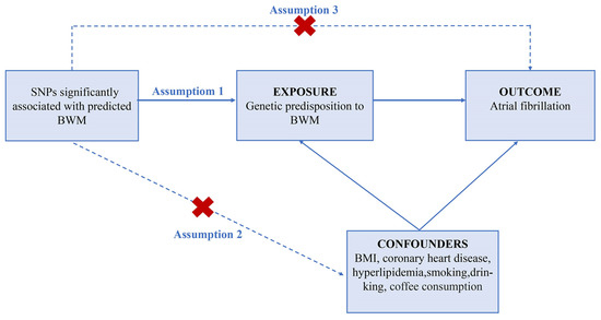 Genetic Predisposition to a Higher Whole Body Water Mass May Increase the Risk of Atrial ...