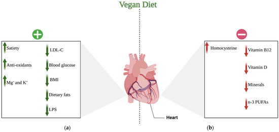 The Effect of a Vegan Diet on the Cardiovascular System