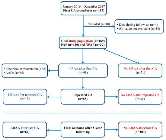 Long-Term Renal Function after Catheter Ablation of Atrial Fibrillation