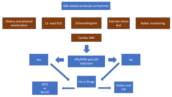 Moderator Band and Ventricular Tachycardia: Structural or Functional ...