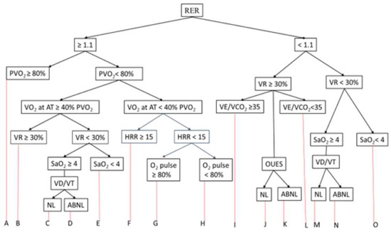 A Systematic Approach for the Interpretation of Cardiopulmonary ...