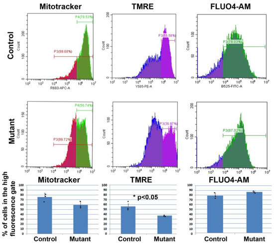 Cardiomyocyte-Specific Wt1 Is Involved in Cardiac Metabolism and ...