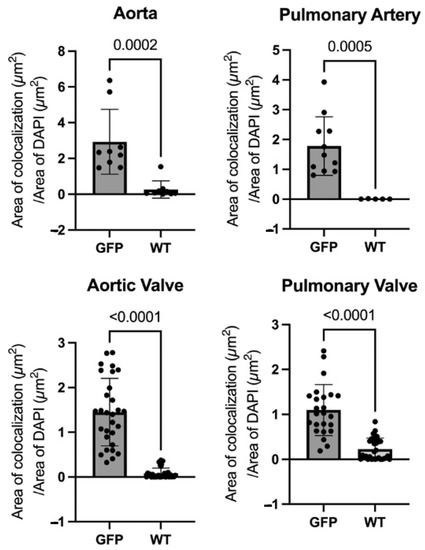 JCDD | Free Full-Text | Characterization of Green Fluorescent Protein ...