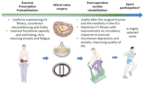 An Overview of Sport Participation and Exercise Prescription in Mitral ...