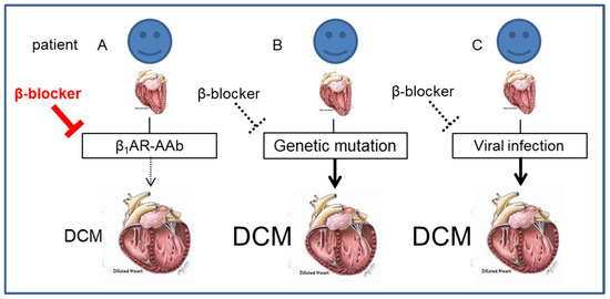 β1 Adrenergic Receptor Autoantibodies and IgG Subclasses: Current ...