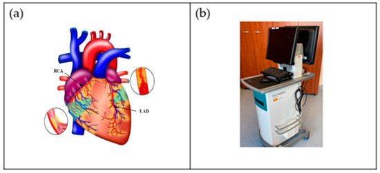 Deep Learning Paradigm and Its Bias for Coronary Artery Wall ...