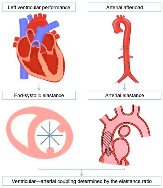 Development and Clinical Application of Left Ventricular–Arterial ...