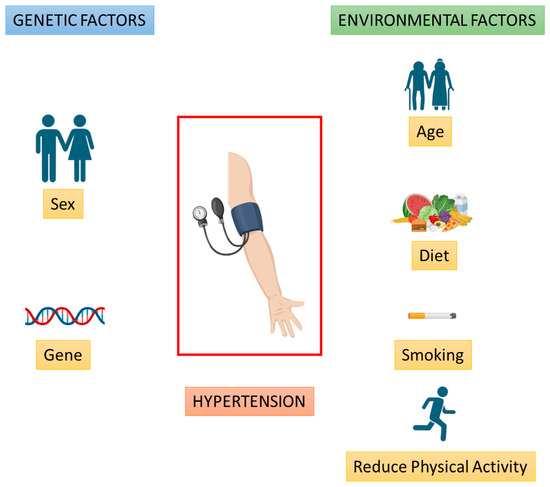 Genetics of Hypertension: From Monogenic Analysis to GETomics