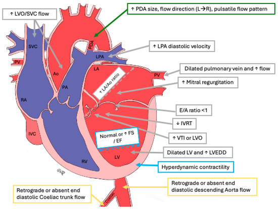 JCDD | Free Full-Text | Narrative Review on Echocardiographic ...