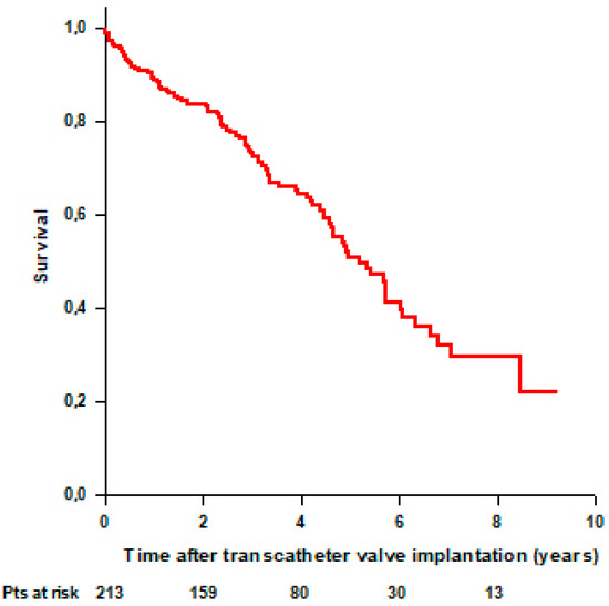 Ten-Year Experience with a Transapical Approach for Transcatheter ...