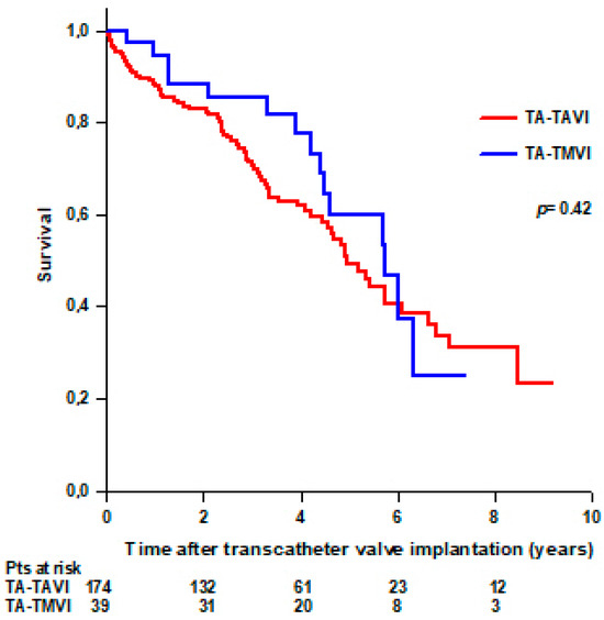 Ten-Year Experience with a Transapical Approach for Transcatheter ...