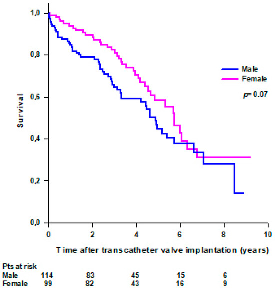 Ten-Year Experience with a Transapical Approach for Transcatheter ...