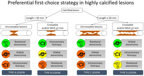 Coronary Artery Calcium and Aging: Physiological Basis, Assessment, and ...