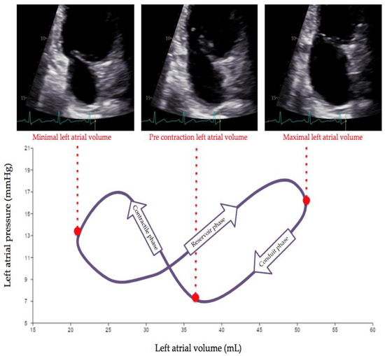 JCDD | Free Full-Text | Current and Clinically Relevant ...