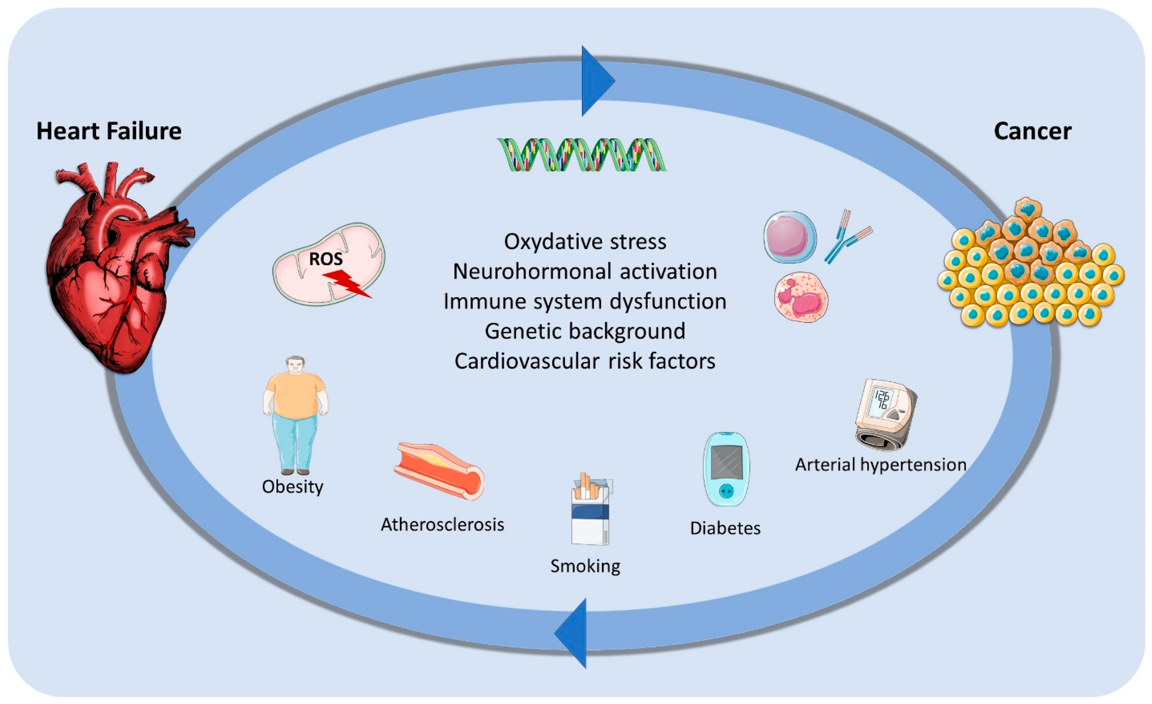JCDD | Free Full-Text | Cancer and Heart Failure: Dangerous Liaisons
