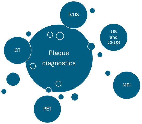 Diagnostic Methods of Atherosclerotic Plaque and the Assessment of Its ...
