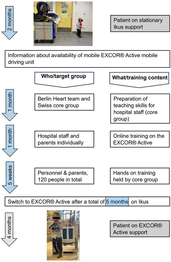The Introduction of a New Mobile Driving Unit for a Ventricular Assist ...