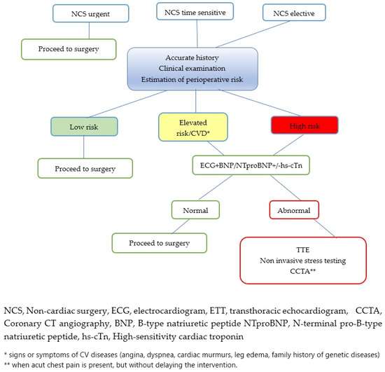 Perioperative Risk: Short Review of Current Approach in Non Cardiac Surgery