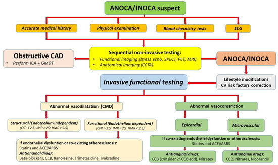 ANOCA, INOCA, MINOCA: The New Frontier of Coronary Syndromes