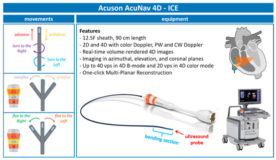 Early Experience with Acuson AcuNav 4D-ICE to Guide Transcatheter ...