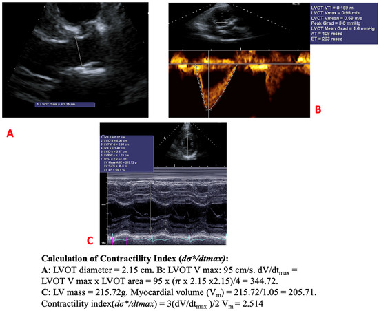 Prognostic Value of the Global Left Ventricular Contractility Index in ...