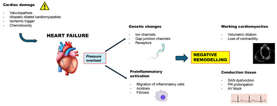 Atrioventricular Node Dysfunction in Heart Failure: New Horizons from ...