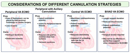 A Contemporary Guide of Venoarterial Extracorporeal Membrane ...