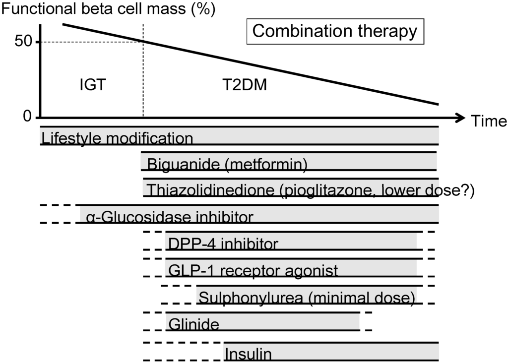 Importance of Beta Cell Function for the Treatment of Type 2 Diabetes