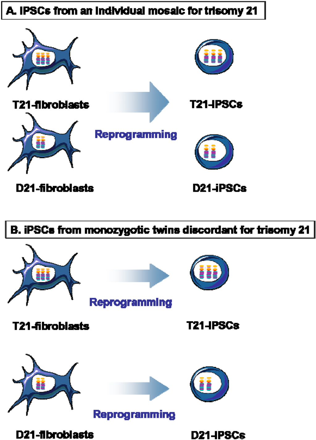 JCM | Special Issue : iPS Cells for Modelling and Treatment of Human ...