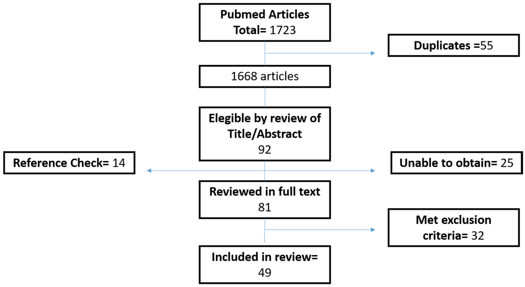 Status Epilepticus: Epidemiology and Public Health Needs