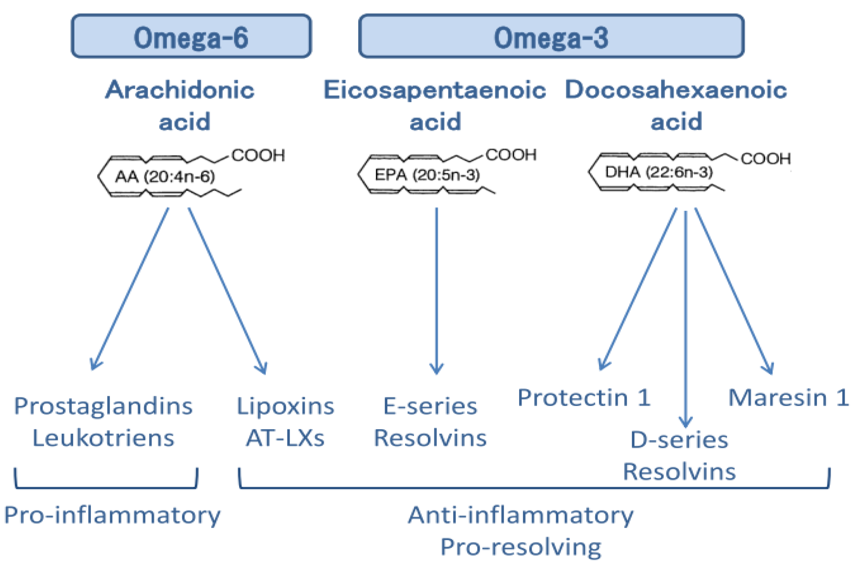 Omega-3 Polyunsaturated Fatty Acids for the Treatment of IgA Nephropathy