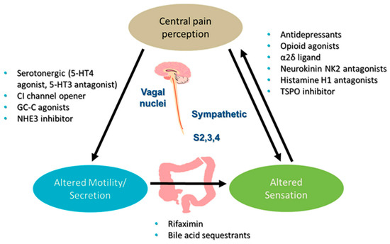 Experimental Models of Irritable Bowel Syndrome and the Role of the ...