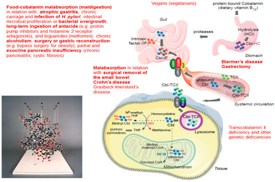 Systematic Review and Pragmatic Clinical Approach to Oral and Nasal ...