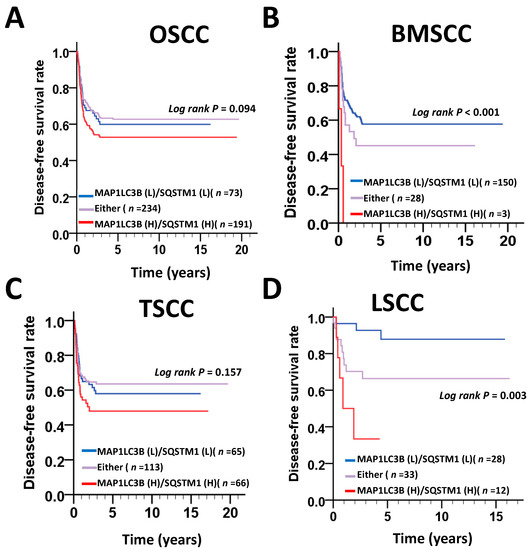 Map1lc3b and Sqstm1 Modulated Autophagy for Tumorigenesis and Prognosis ...