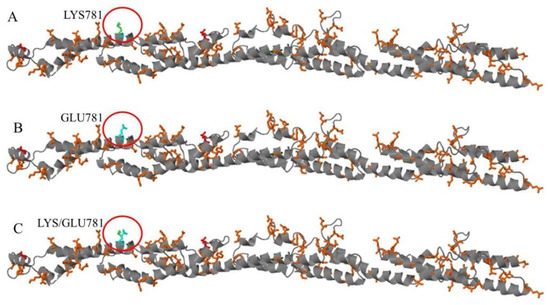 A Novel Mutation in the Stalk Domain of KIF5A Causes a Slowly ...