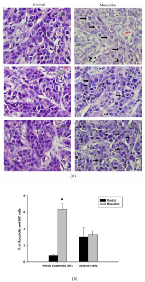 Moscatilin Inhibits Growth of Human Esophageal Cancer Xenograft and ...
