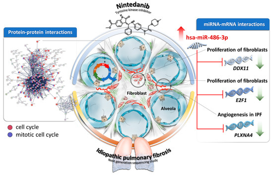JCM | Free Full-Text | Gene Expression Changes Associated with ...