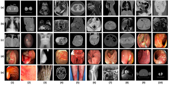 JCM | Free Full-Text | Effective Diagnosis and Treatment through Content-Based Medical Image ...