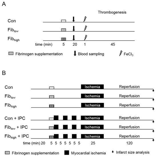 Haemotherapy with Fibrinogen for Perioperative Bleeding Prevention—A ...
