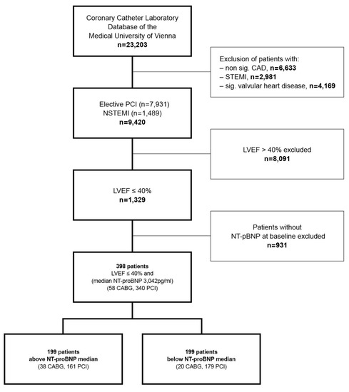 High N-Terminal proB-Type Natriuretic Peptide Indicates Elevated Risk ...