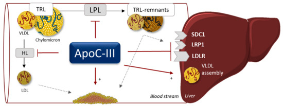 The Future of Lipid-Lowering Therapy