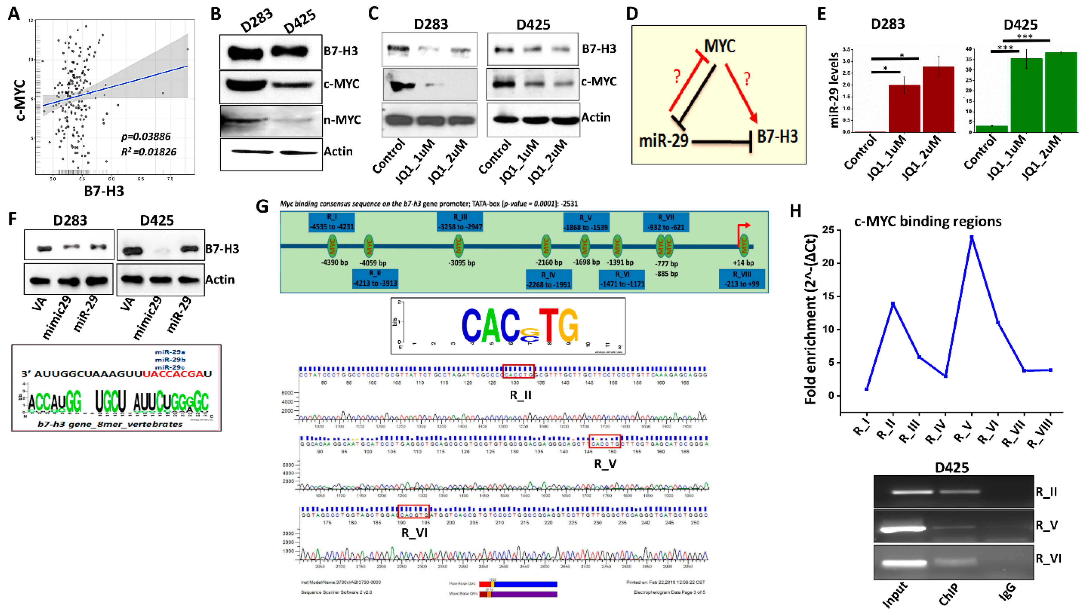 Role of MYC-miR-29-B7-H3 in Medulloblastoma Growth and Angiogenesis