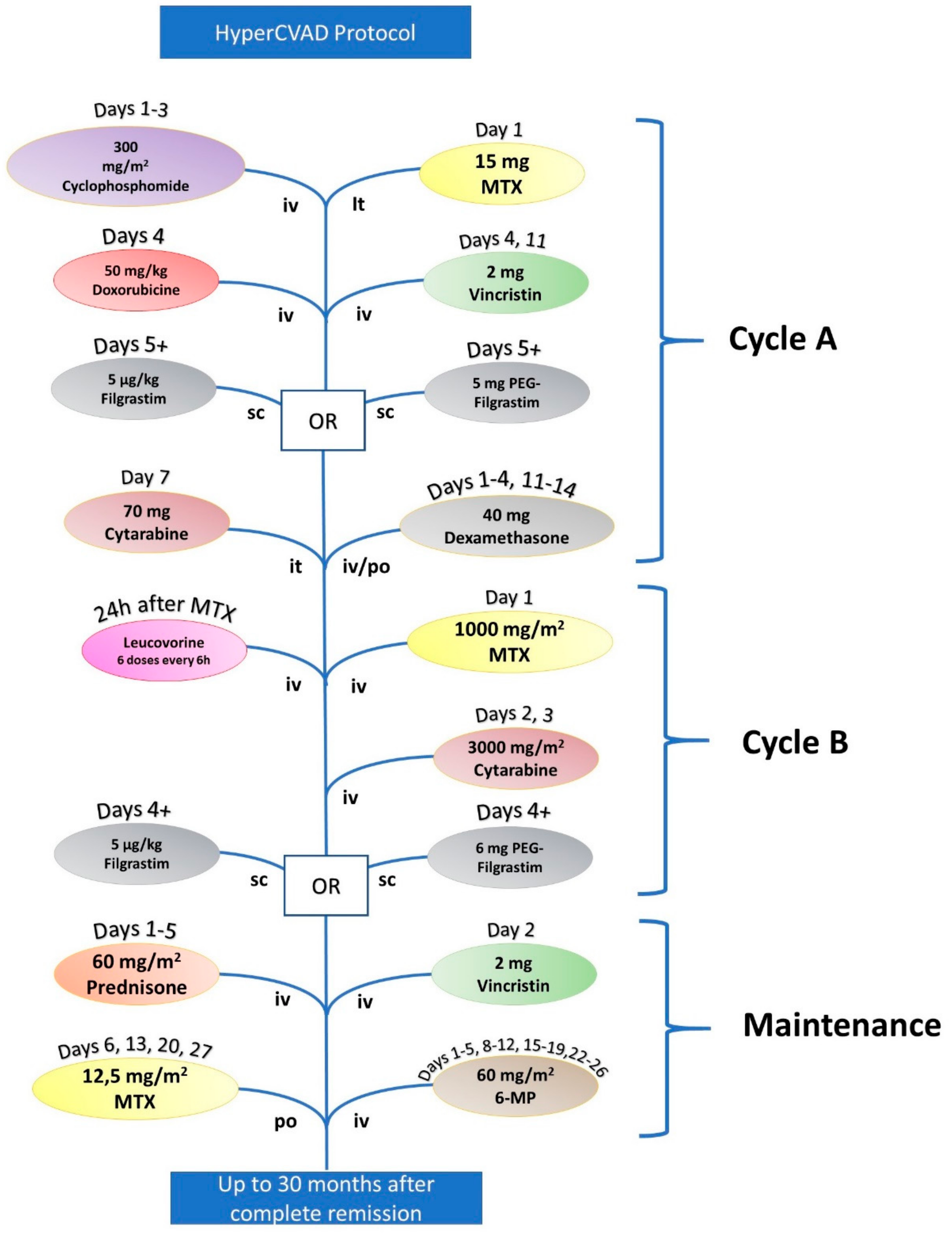 Approach to the Adult Acute Lymphoblastic Leukemia Patient