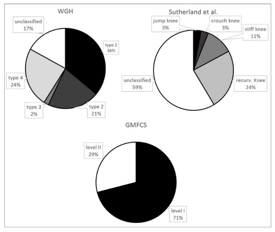 Gait Classification in Unilateral Cerebral Palsy