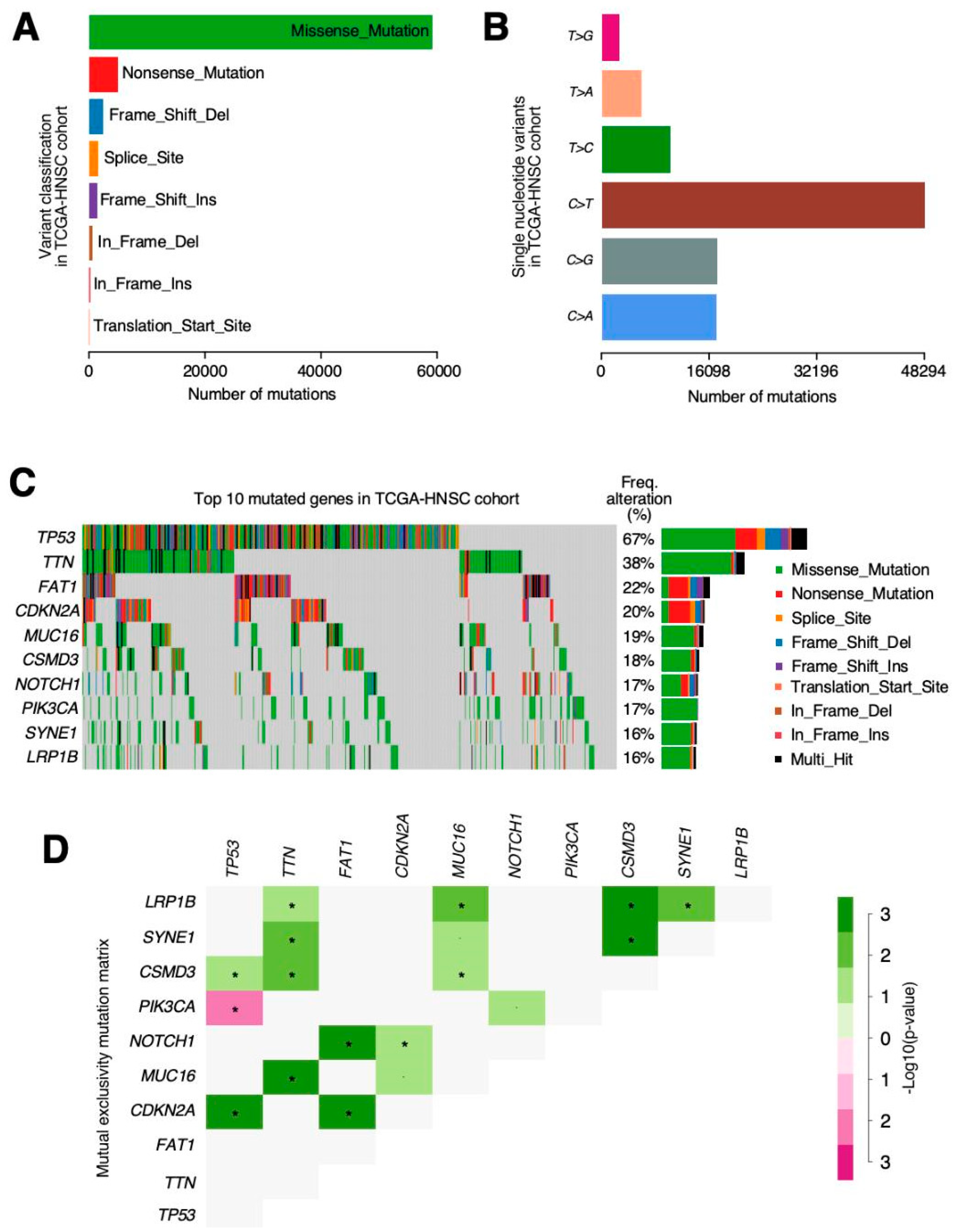 Comprehensive Genomic Review of TCGA Head and Neck Squamous Cell ...